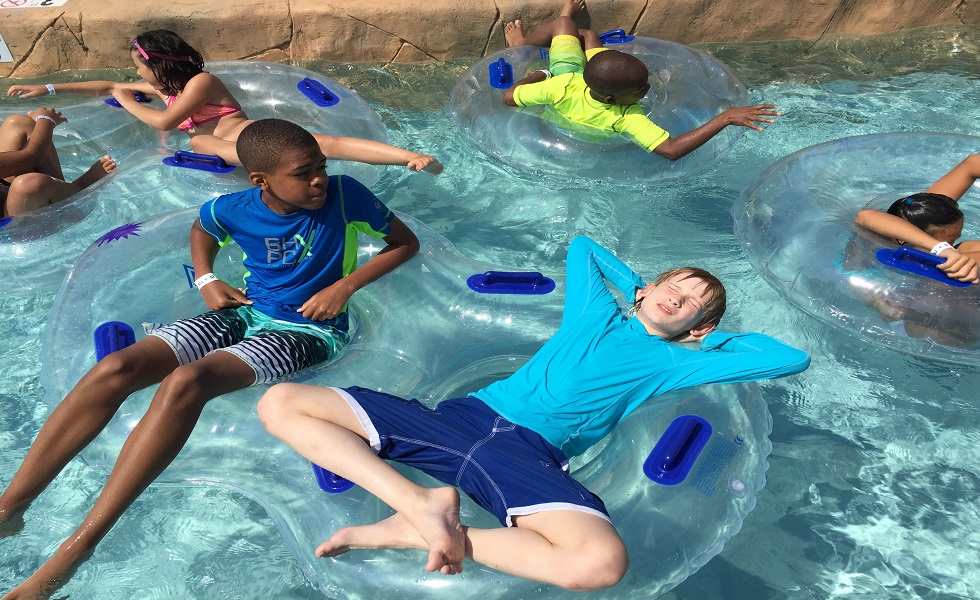 Discover Camp Experience - Cedarbrook Day CampCedarbrook Day Camp